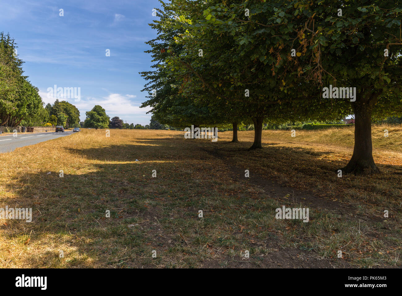 Minchinhampton common hi-res stock photography and images - Alamy