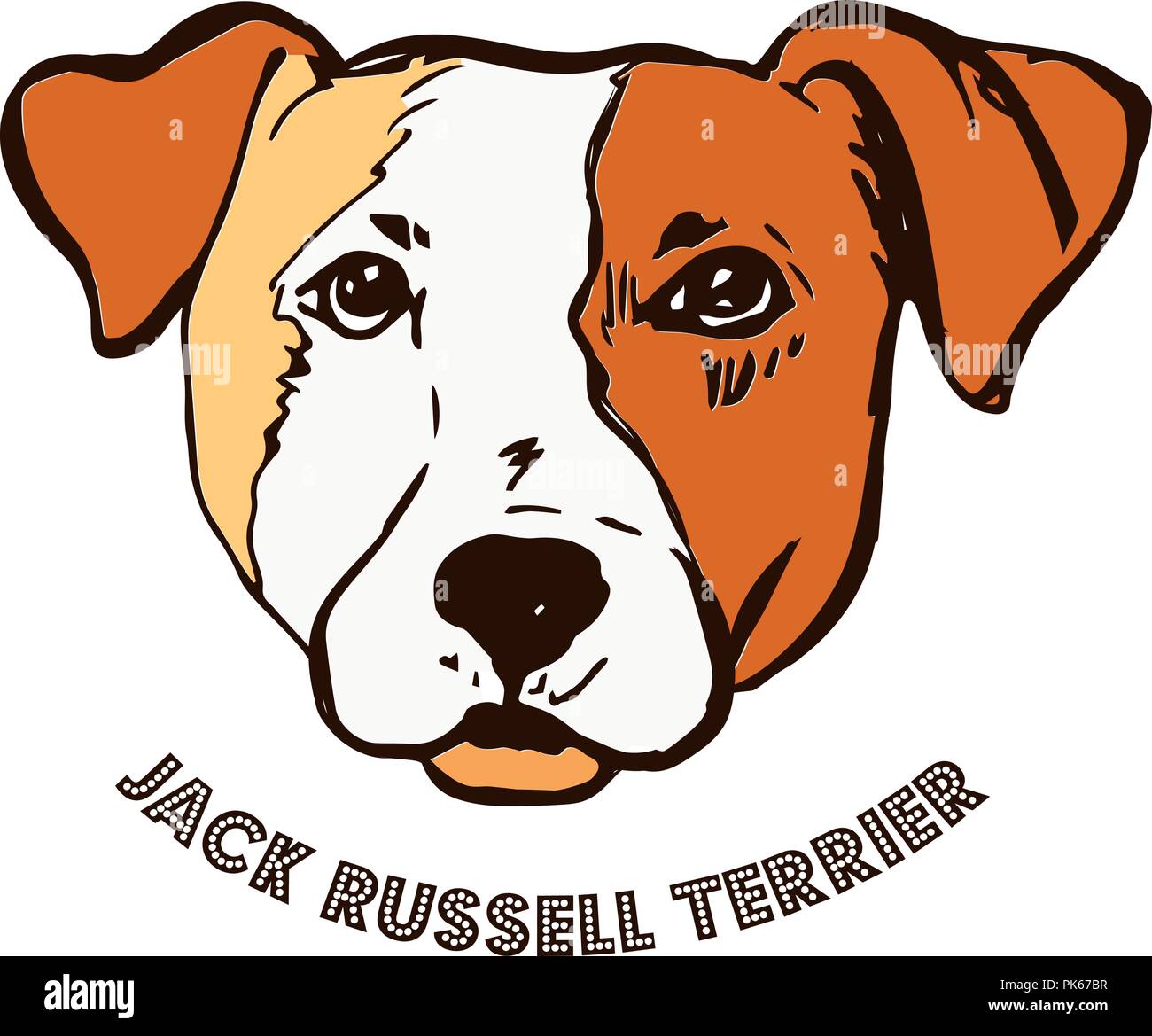 Jack russell terrier face isolated on white background. Purebred dog ...