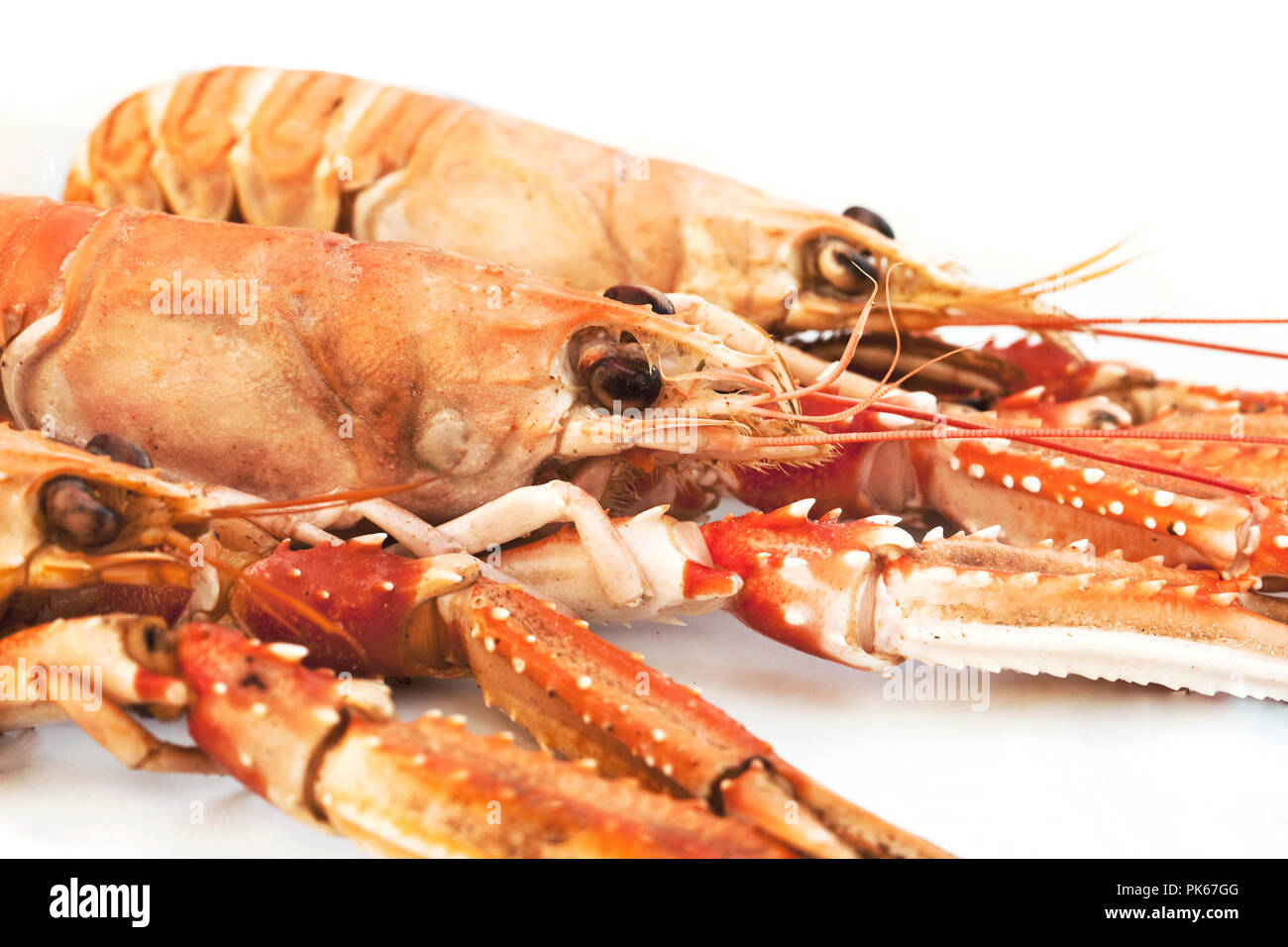 Close up of scampi in a kitchen Stock Photo - Alamy