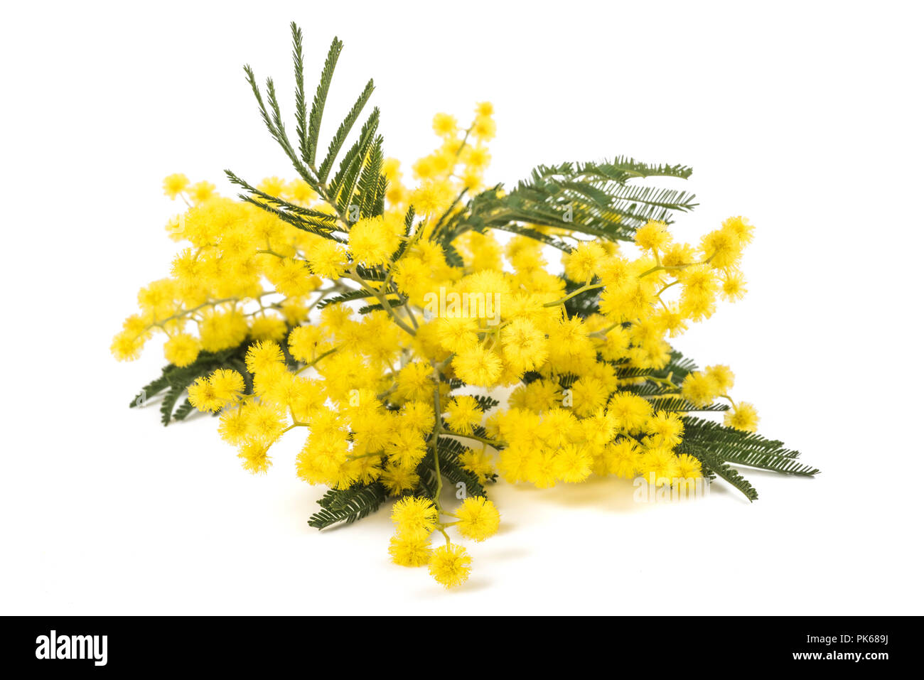Wattle background hi-res stock photography and images - Alamy