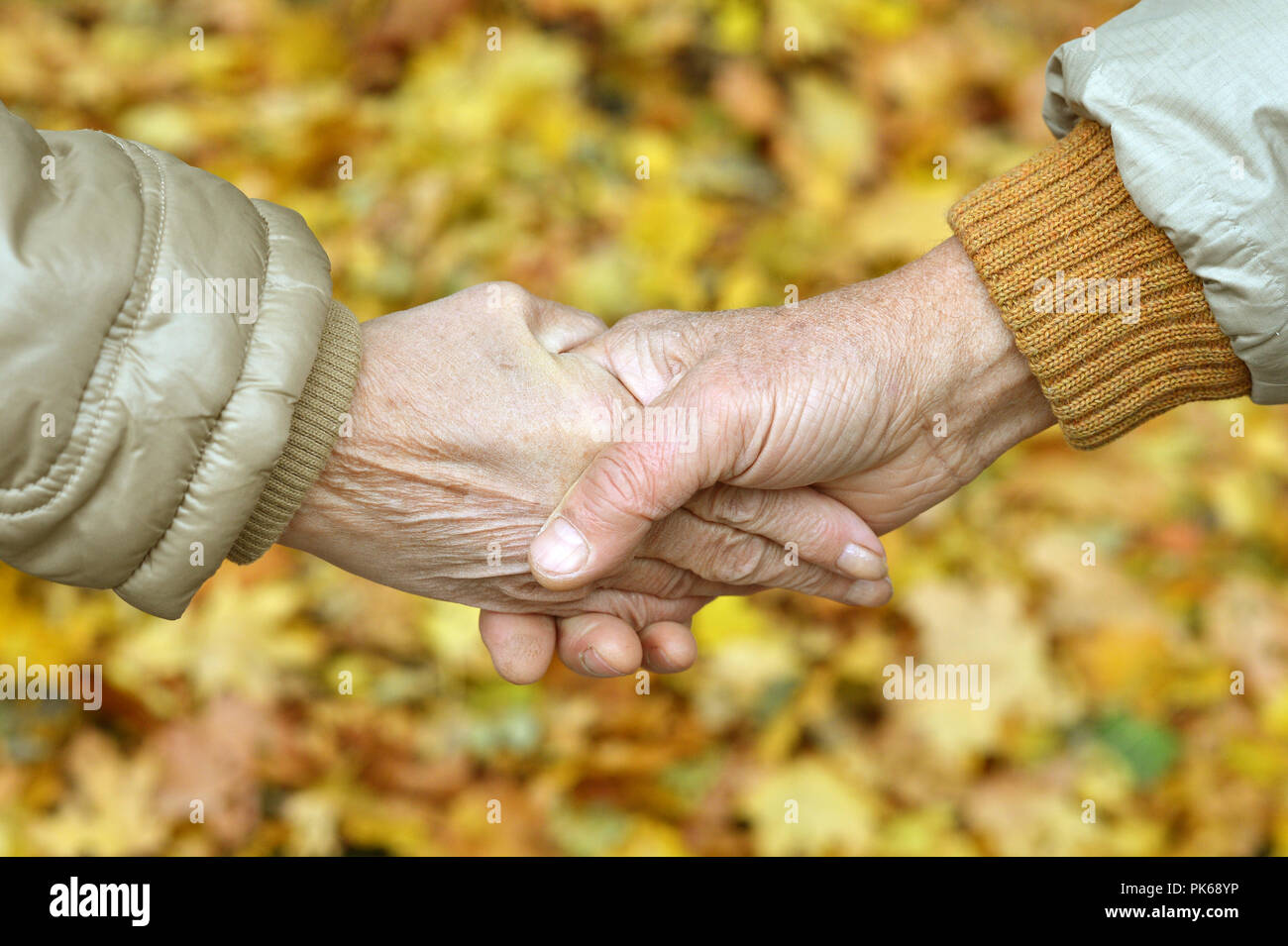 elderly couple holding hands in beautiful park Stock Photo - Alamy
