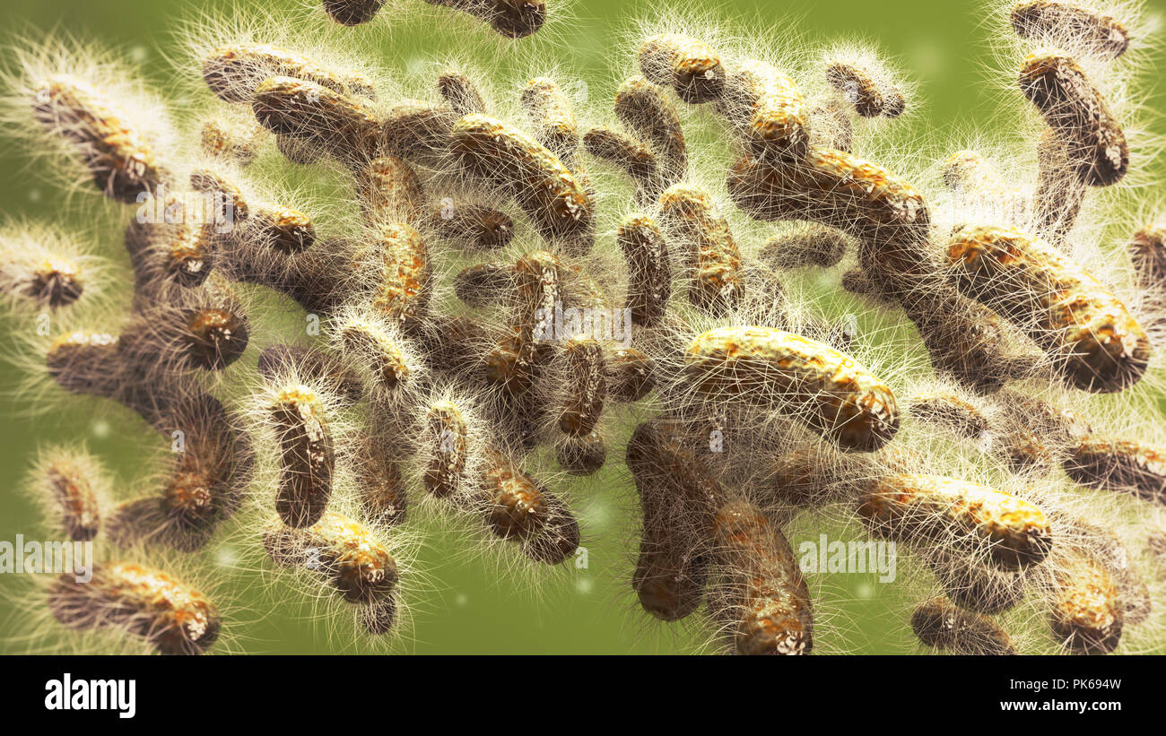 3d rendering virus bacteria microscope hi-res stock photography and ...