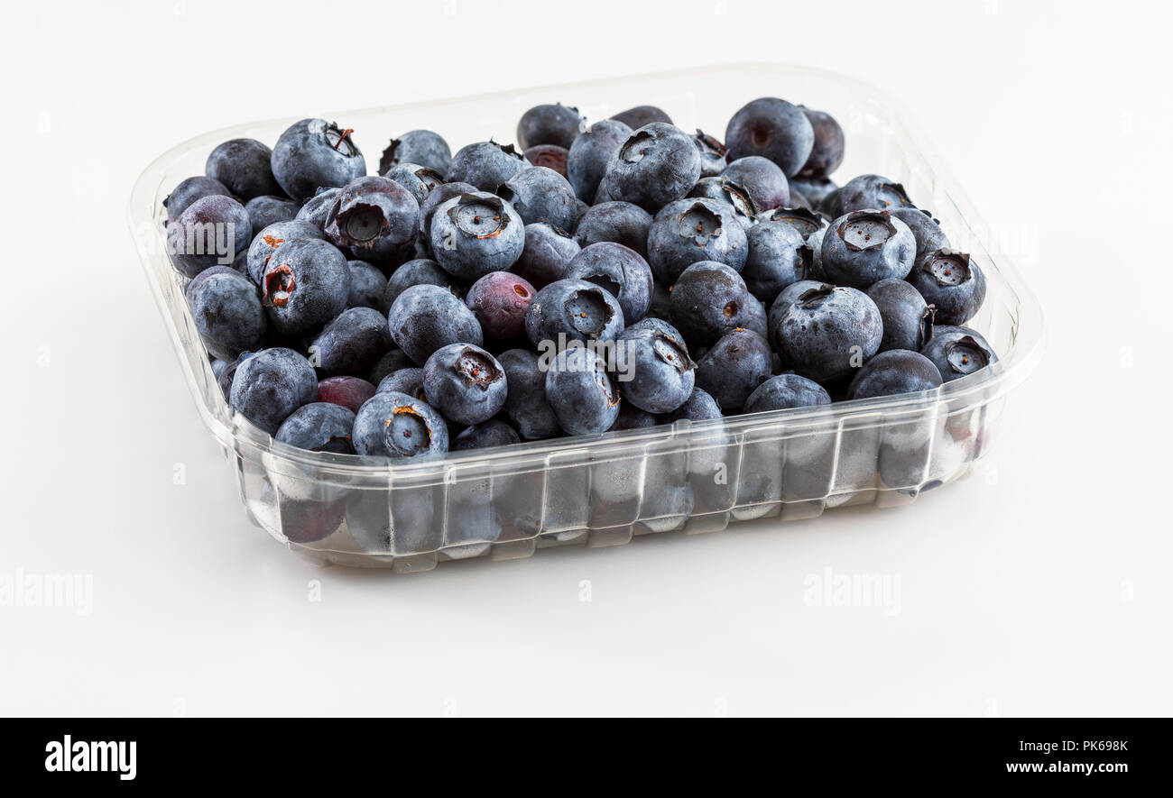 Fresh and raw blueberries in plastic tub. Isolated and on white ...