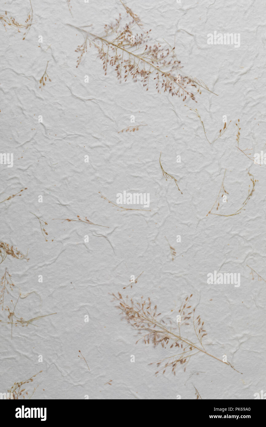 Handmade paper texture with recycled materials, tree leaves and cotton ...