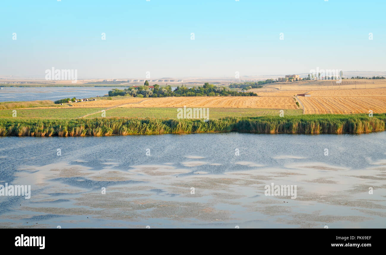 Hay harvest near the lake Mogan, Ankara, Turkey Stock Photo - Alamy