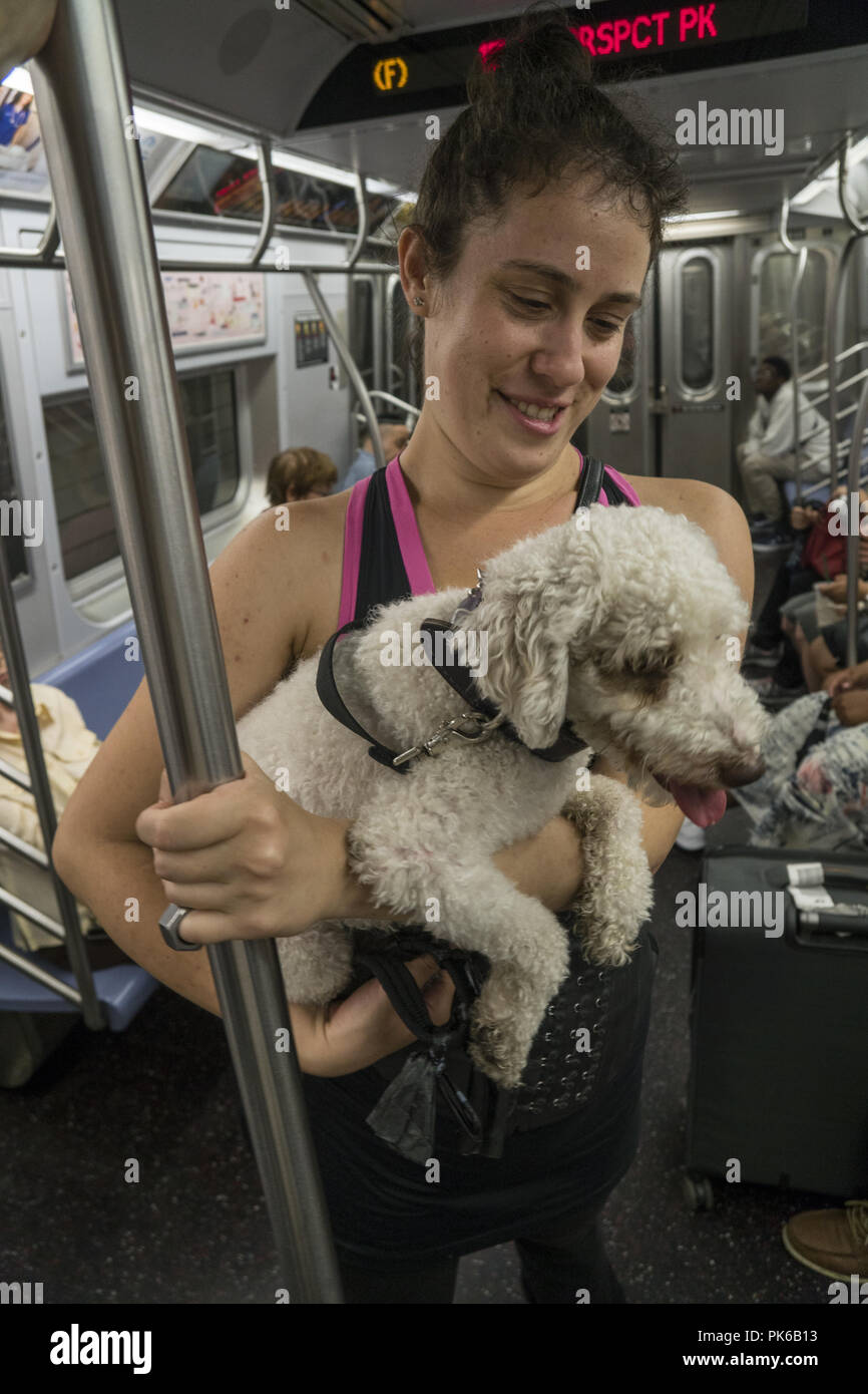 Woman enjoys her dog riding on a subway train in New York City. during ...