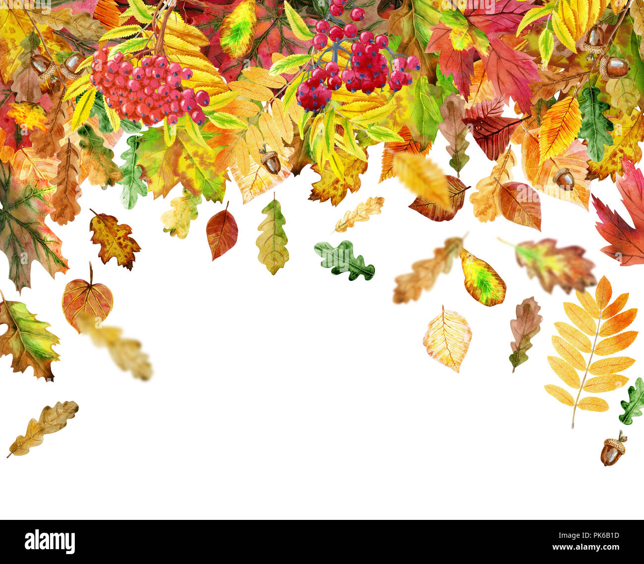 Drawing tree falling leaves on hi-res stock photography and images - Alamy