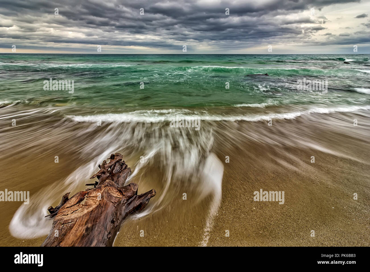 tree on the beach with waves spill Stock Photo - Alamy