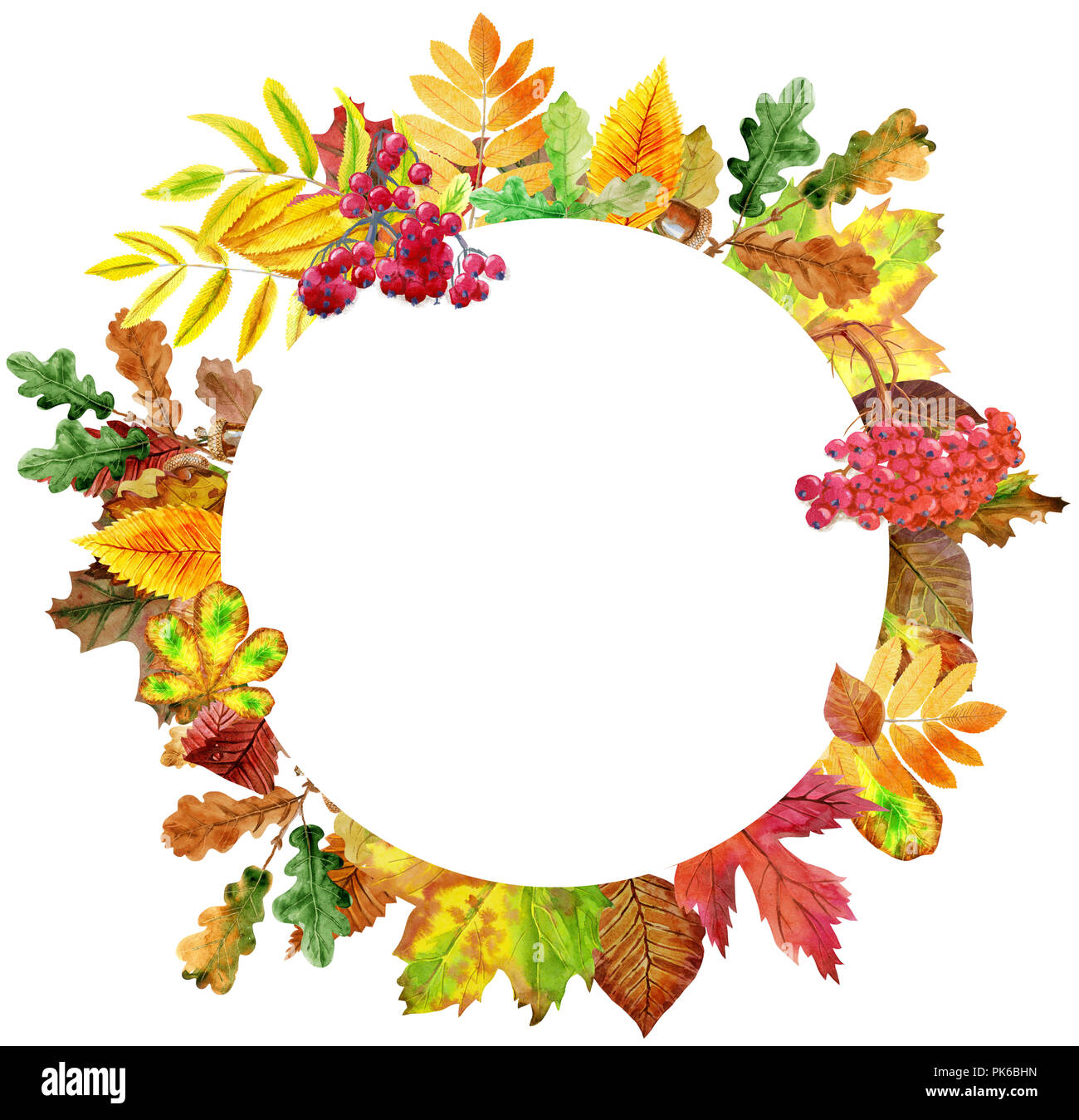 White round banner with colorful falling autumn leaves Stock Photo - Alamy