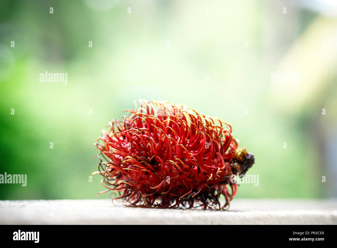 Exotic hairy fruit rambutan in rustic style Stock Photo - Alamy