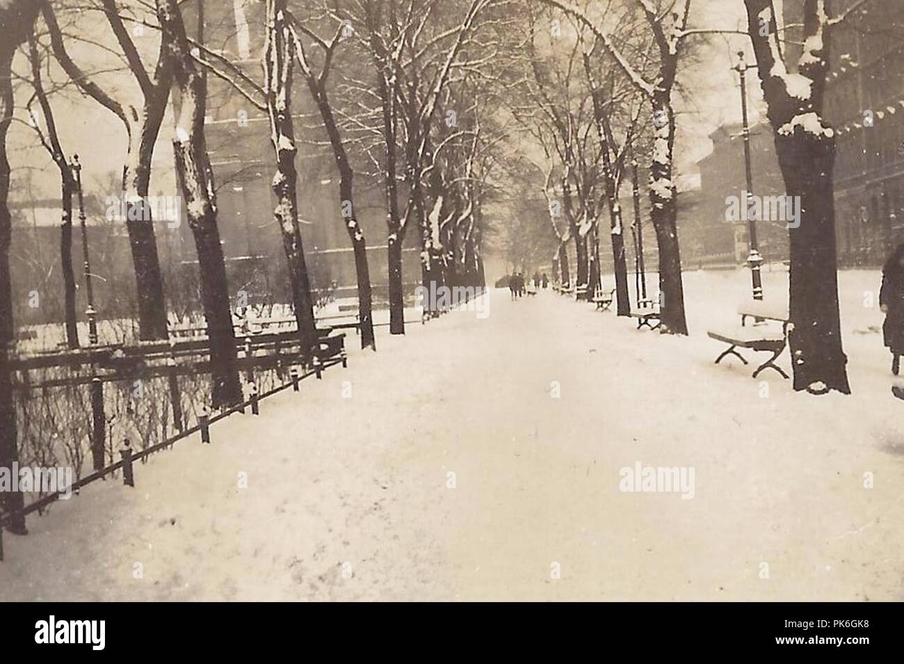 Berlin 1929 hi-res stock photography and images - Alamy