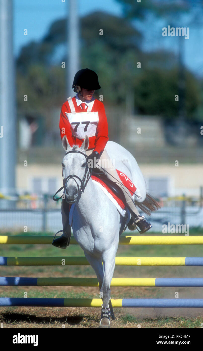 Australian show jumpers hi-res stock photography and images - Alamy