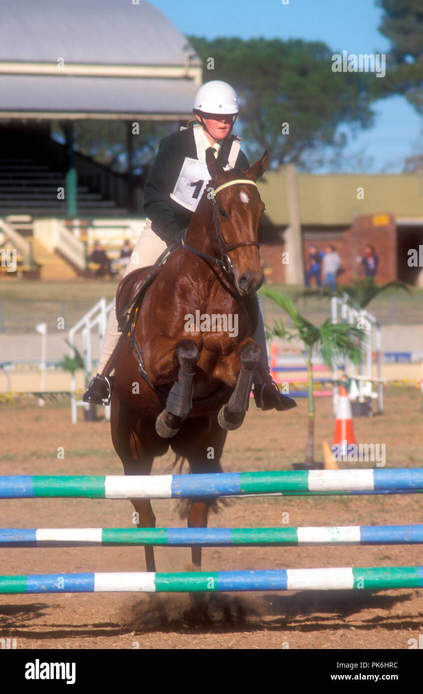 Australian show jumpers hi-res stock photography and images - Alamy