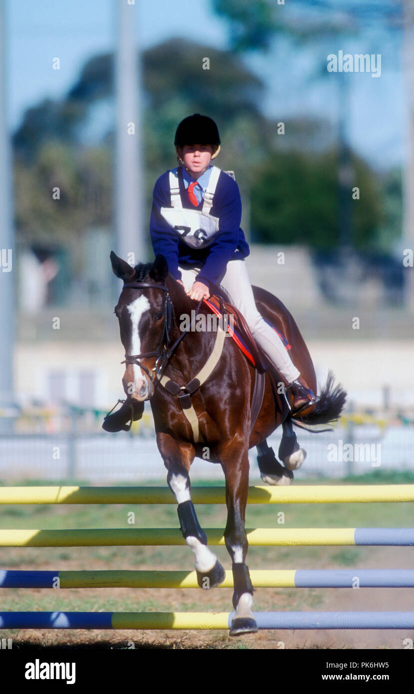 Australian show jumpers hi-res stock photography and images - Alamy