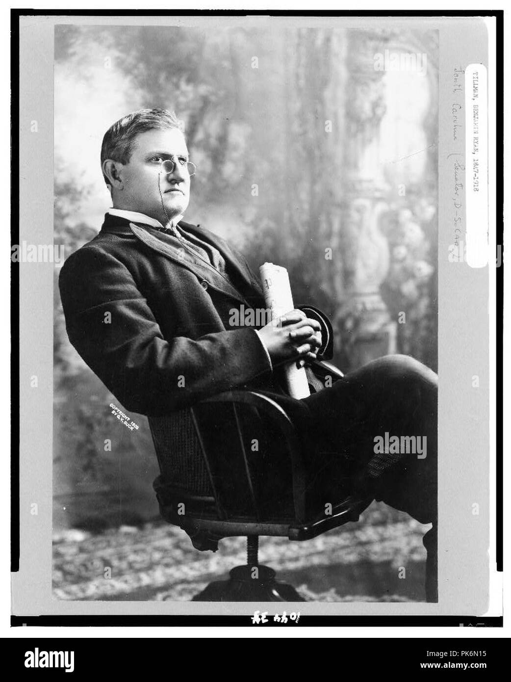 Benjamin Ryan Tillman, three-quarter length portrait, seated, facing ...