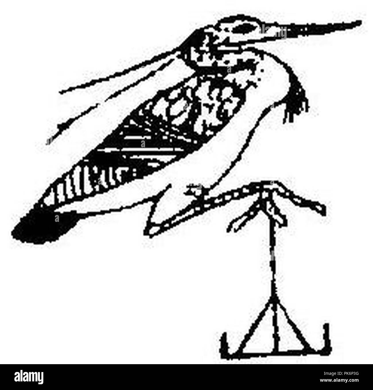 Bennu hi-res stock photography and images - Alamy