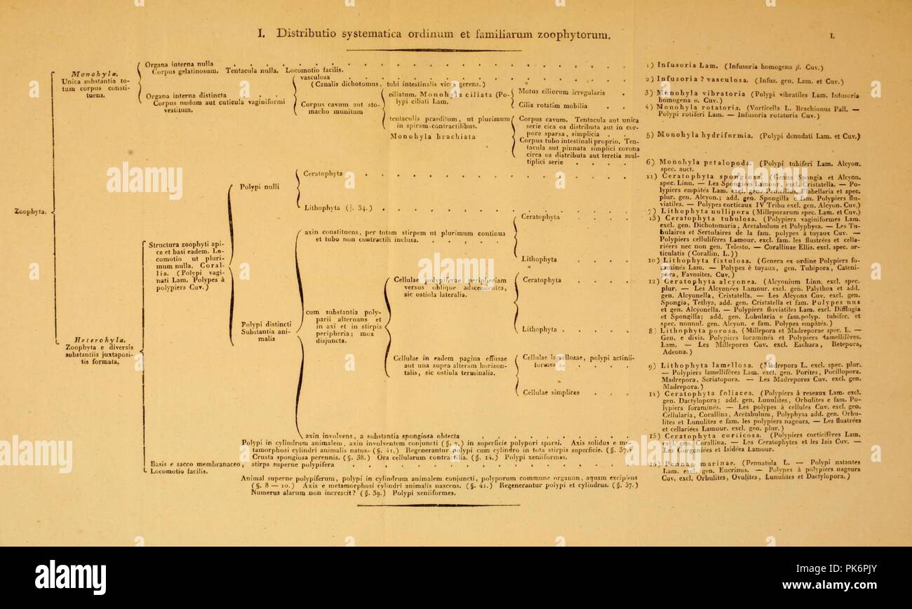 Beobachtungen auf naturhistorischen Reisen (Table I Stock Photo - Alamy