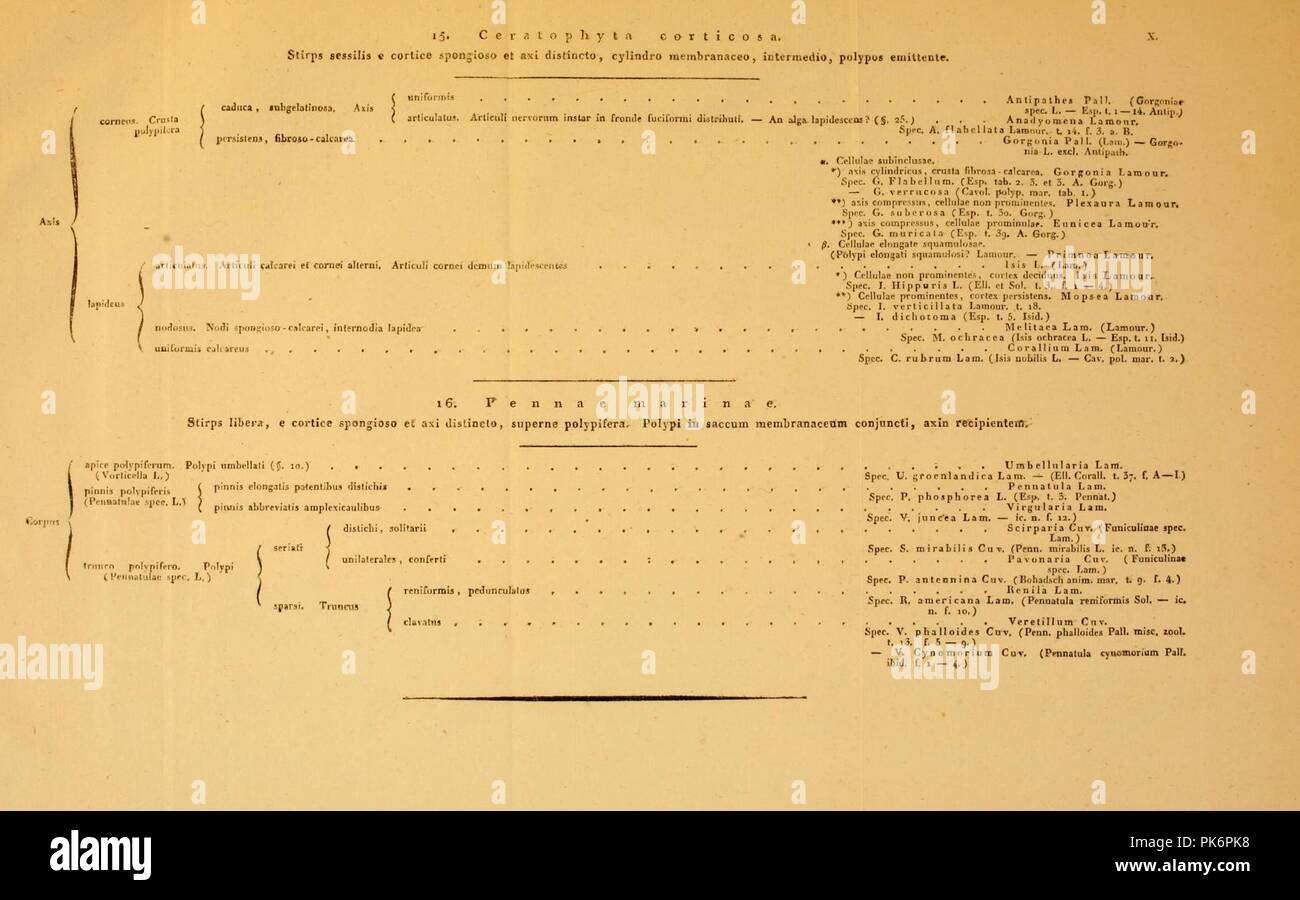 Beobachtungen auf naturhistorischen Reisen (Table X Stock Photo - Alamy