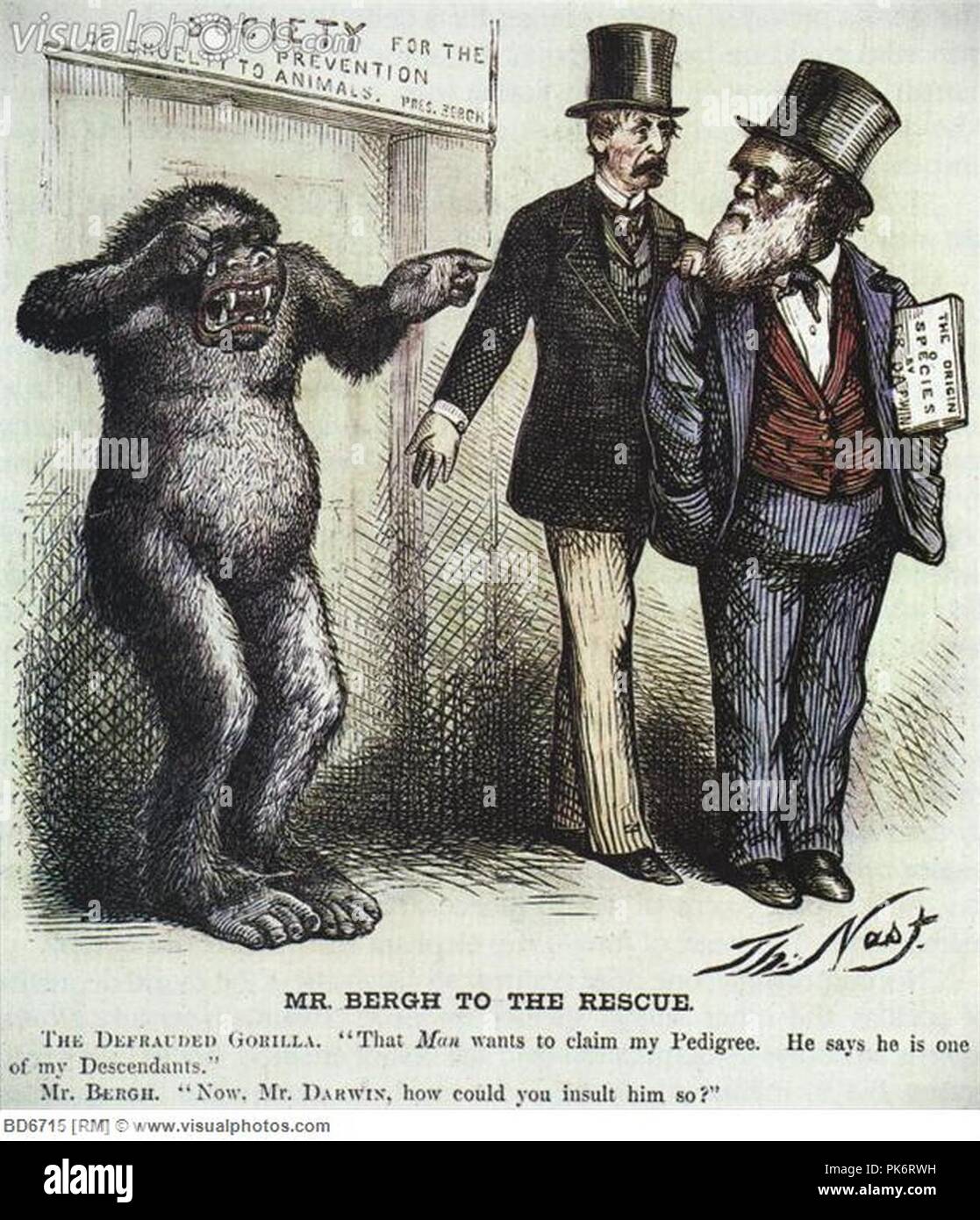 Charles darwin cartoon ape hi-res stock photography and images - Alamy