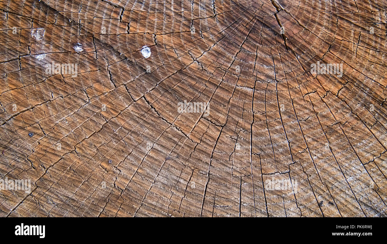 Wood plank macro close hi-res stock photography and images - Alamy