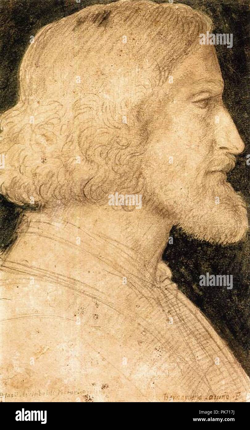 Bernardino Luini - Portrait of Biagio Arcimboldo Stock Photo - Alamy