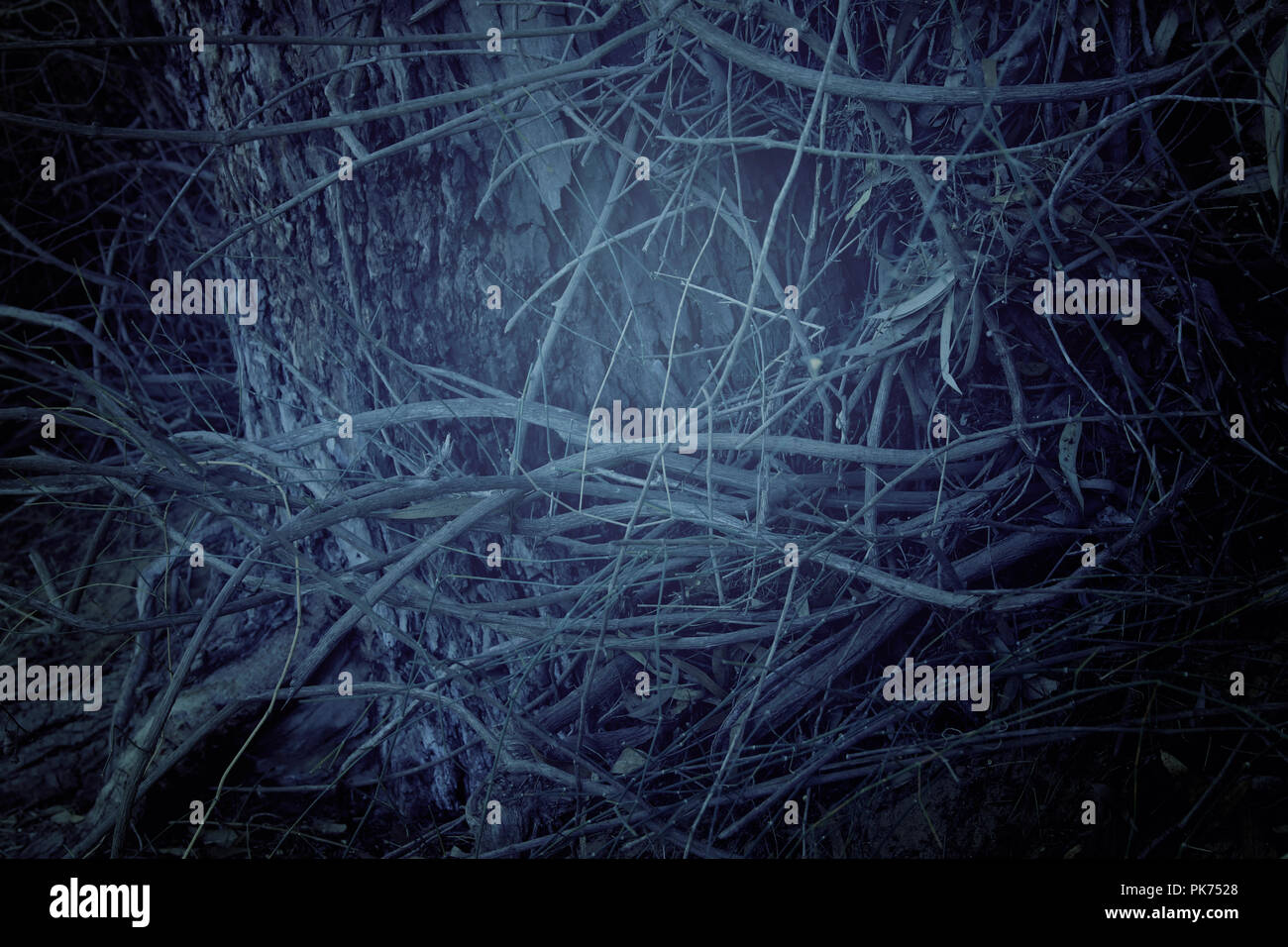 Dark Mysterious Background