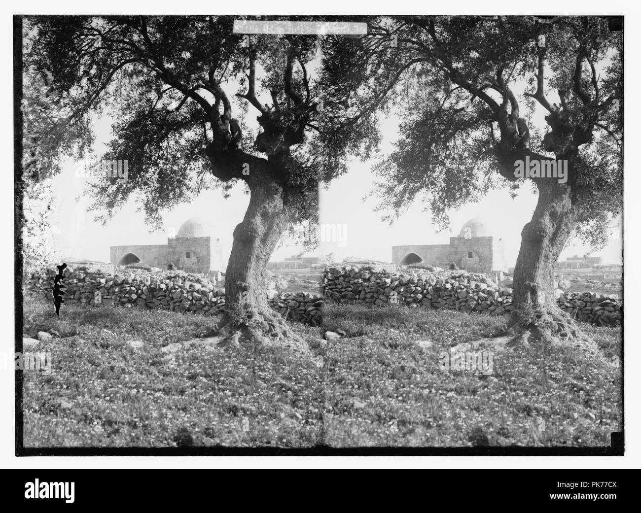 Rachel's Black and White Stock Photos & Images - Alamy