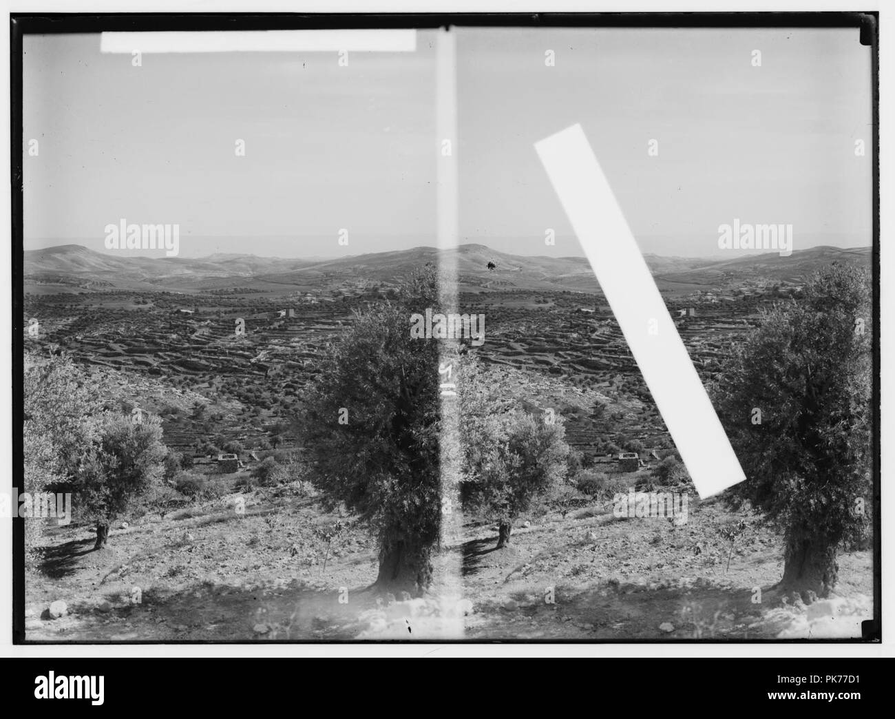 Bethlehem and surroundings. Shepherd's field from Bethlehem Stock Photo ...