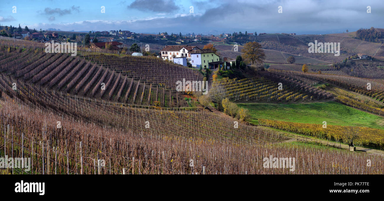 Piedmont Vineyards in the fall after harvest Stock Photo - Alamy