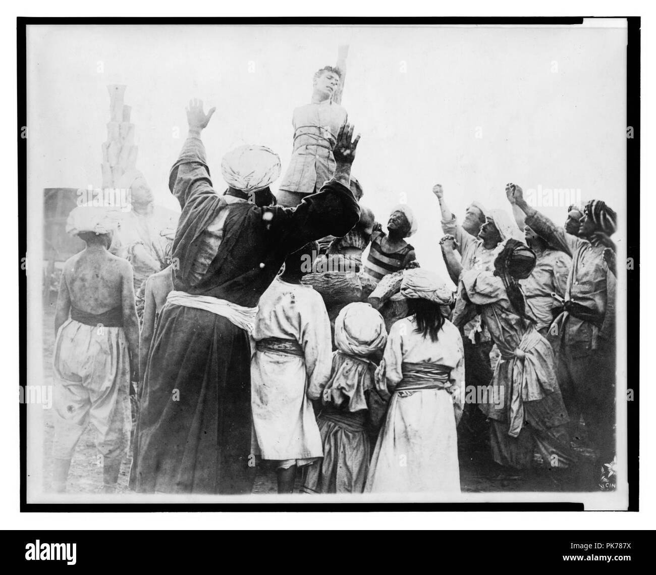 Tied to stake hi-res stock photography and images - Alamy