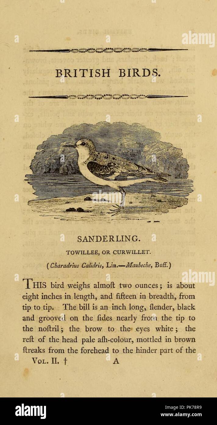 Bewick History of British Birds Water Birds Page 1 Stock Photo - Alamy Bewick History of British Birds Water Birds Page 1 Stock Photo - Alamy