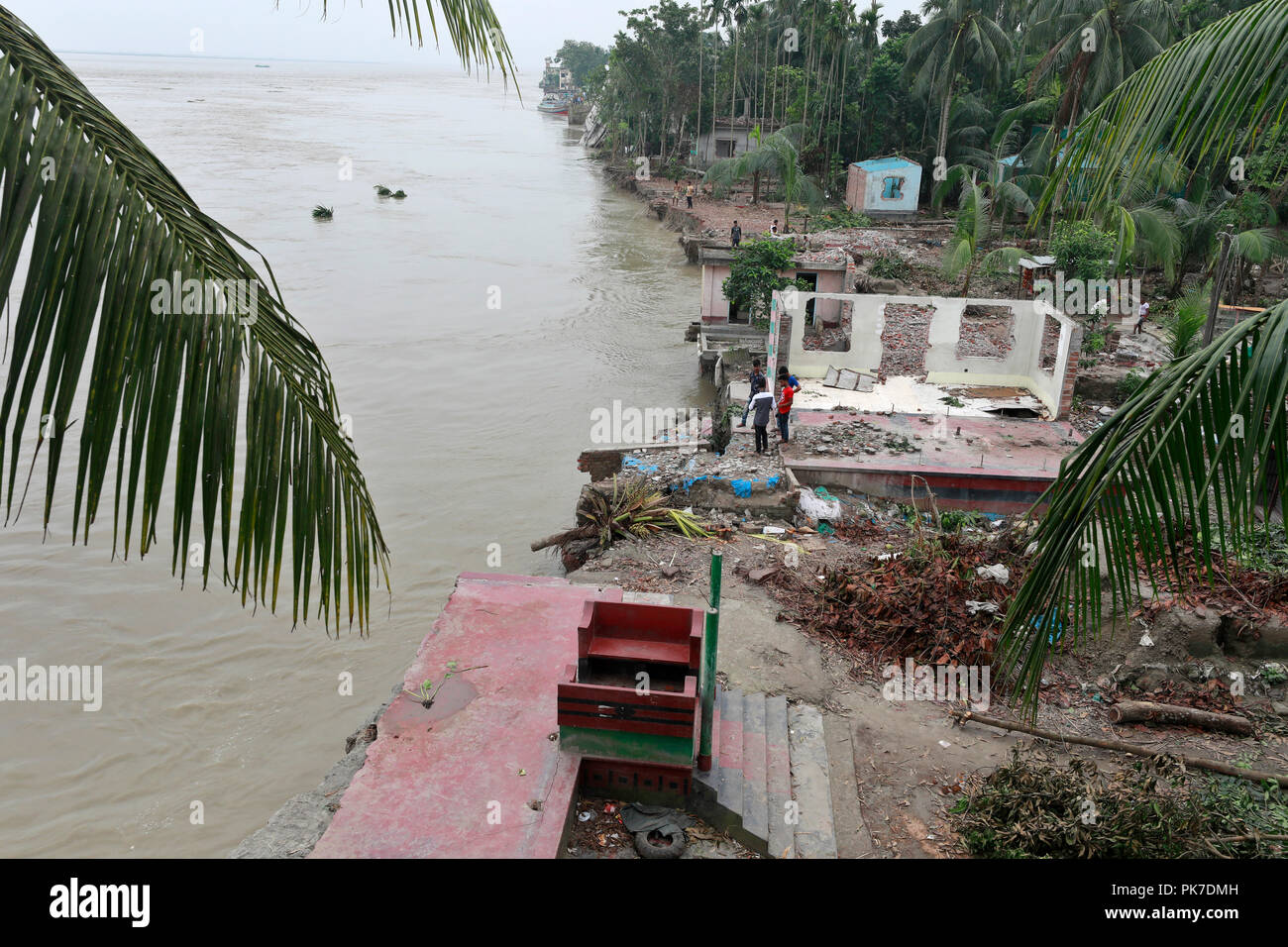 Shariatpur, Bangladesh - September 10, 2018: Erosion of the Padma River ...