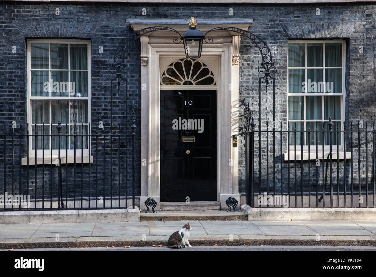 London, UK. 11th September, 2018. Larry, Chief Mouser at 10 Downing ...