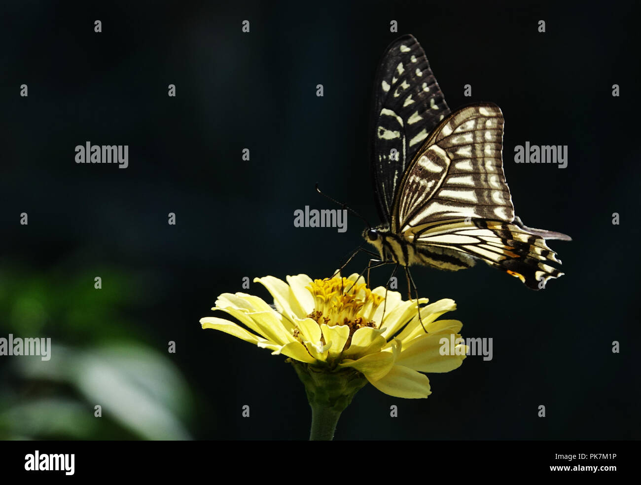 Guanglu island hi-res stock photography and images - Alamy