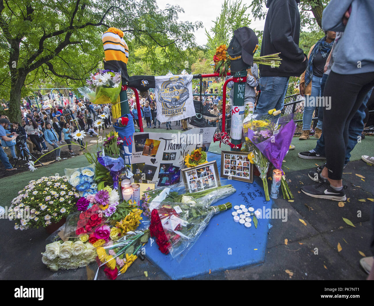 Frick Park Blue Slide