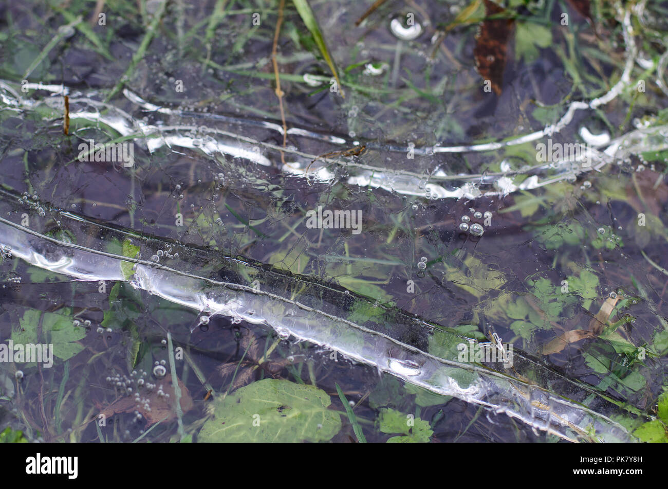 Bubbles in detail hi-res stock photography and images - Alamy