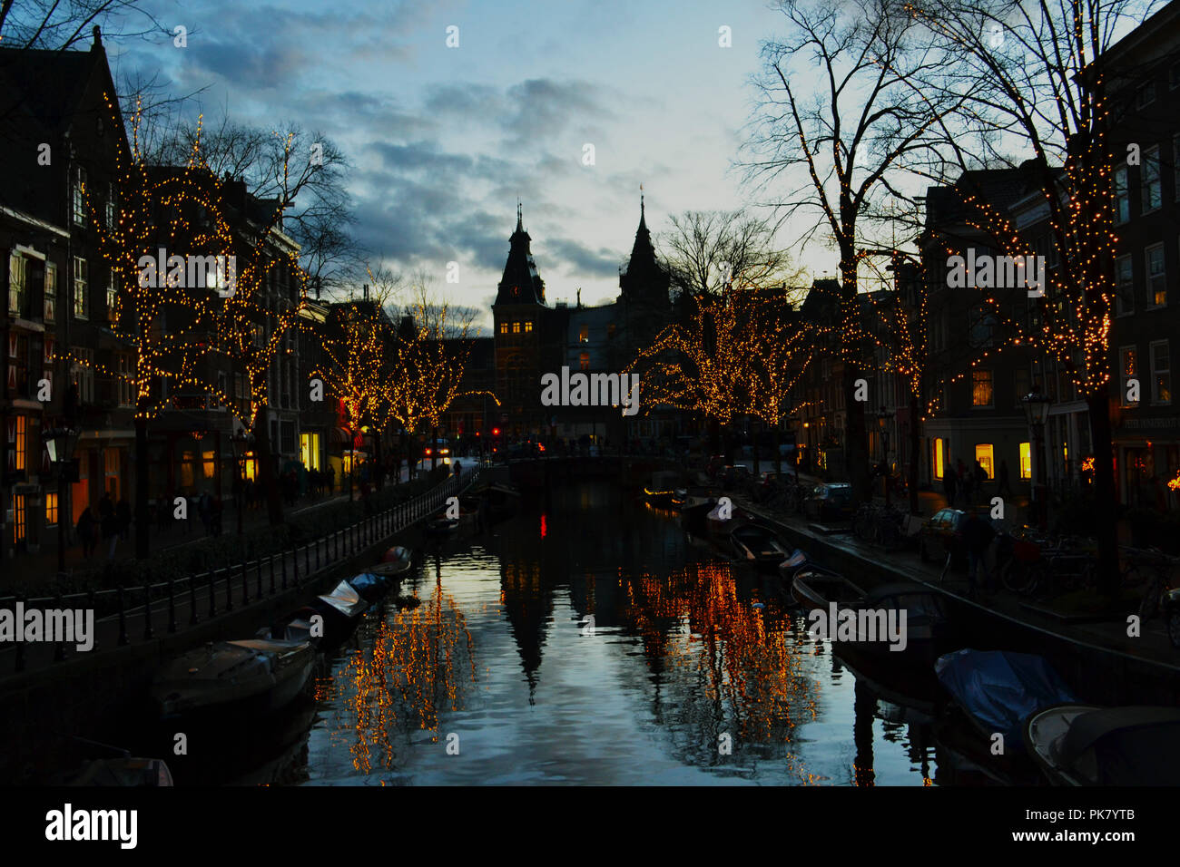 Amsterdam tree hi-res stock photography and images - Alamy