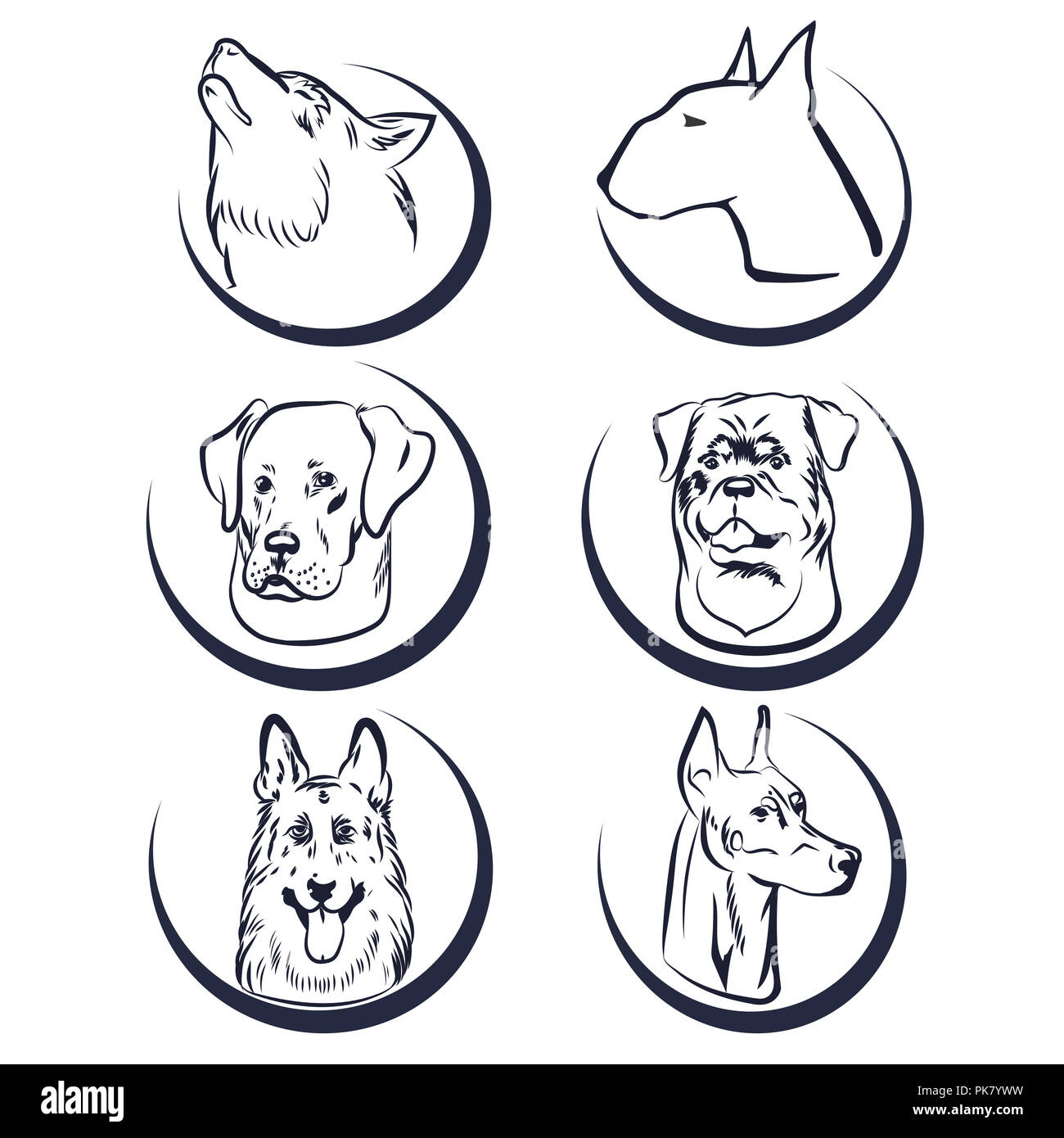 Dog breed portraits isolated on white background Stock Photo - Alamy