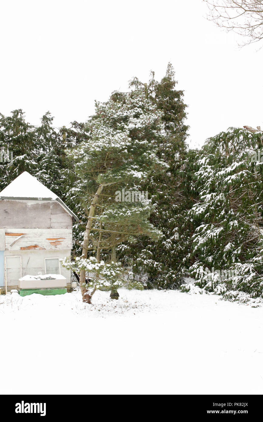 Snow garden landscape hi-res stock photography and images - Alamy
