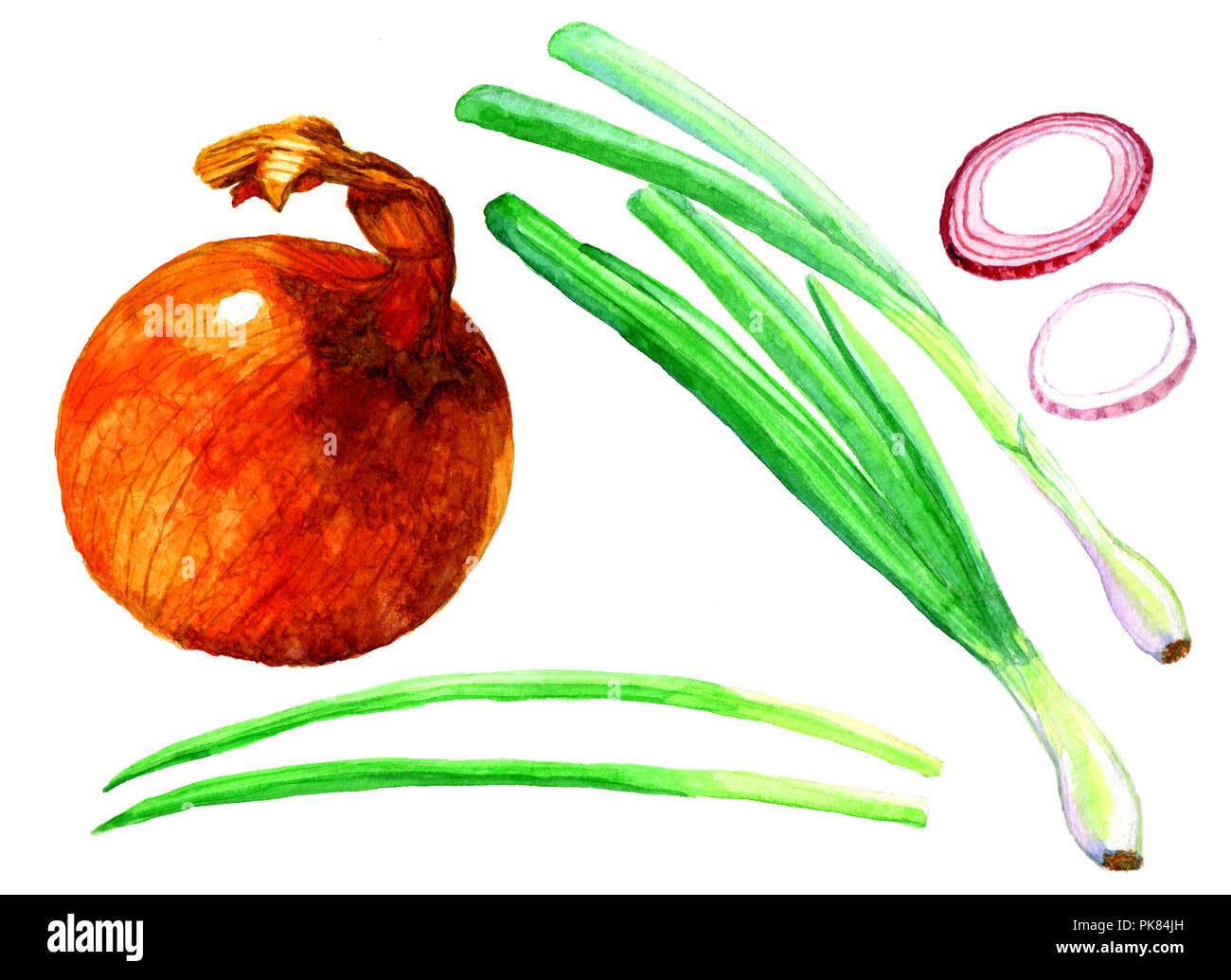 Healthy food. Fresh food, vegetables, fruits. Drawing by hand with ...