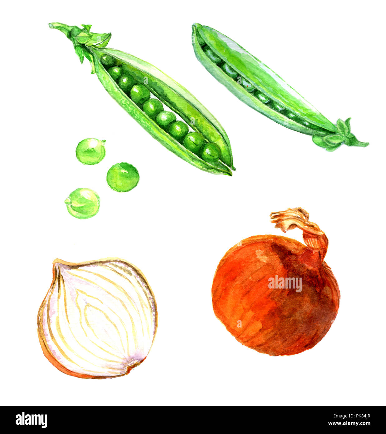 Healthy food. Fresh food, vegetables, fruits. Drawing by hand with ...