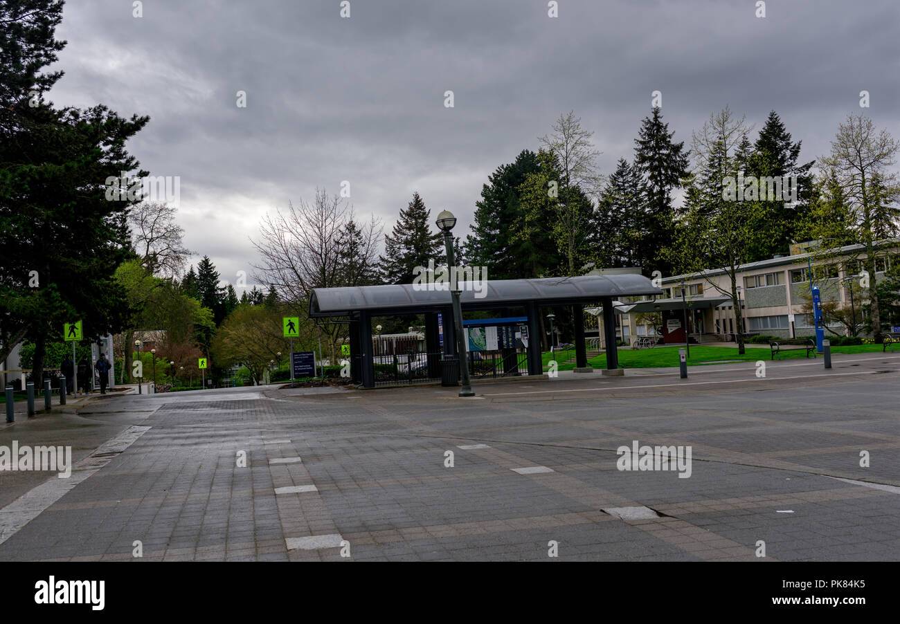 Ubc campus vancouver campus hi-res stock photography and images - Alamy