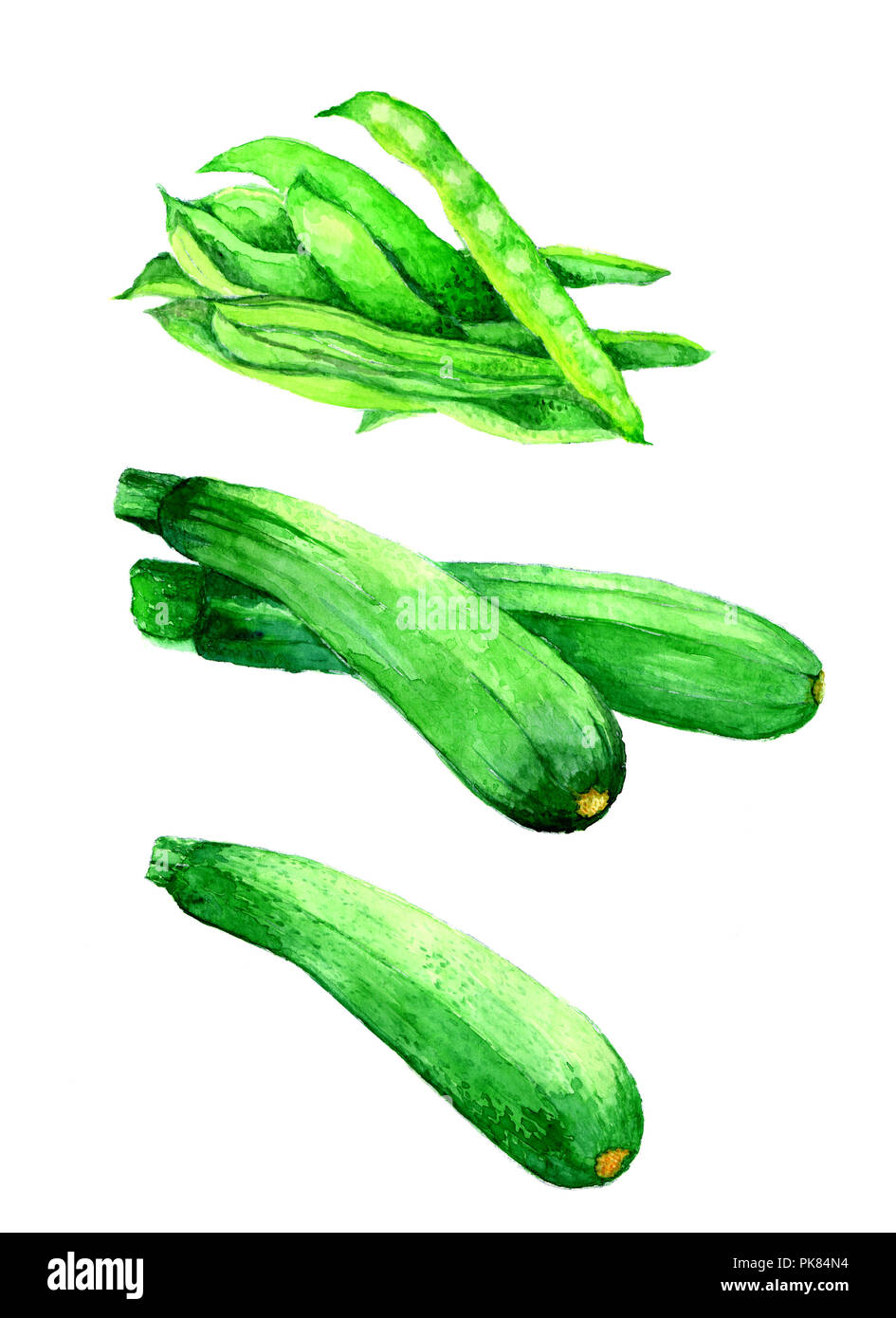 Healthy food. Fresh food, vegetables, fruits. Drawing by hand with ...
