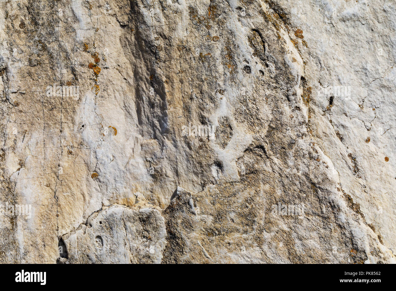 Stone surface close up hi-res stock photography and images - Alamy