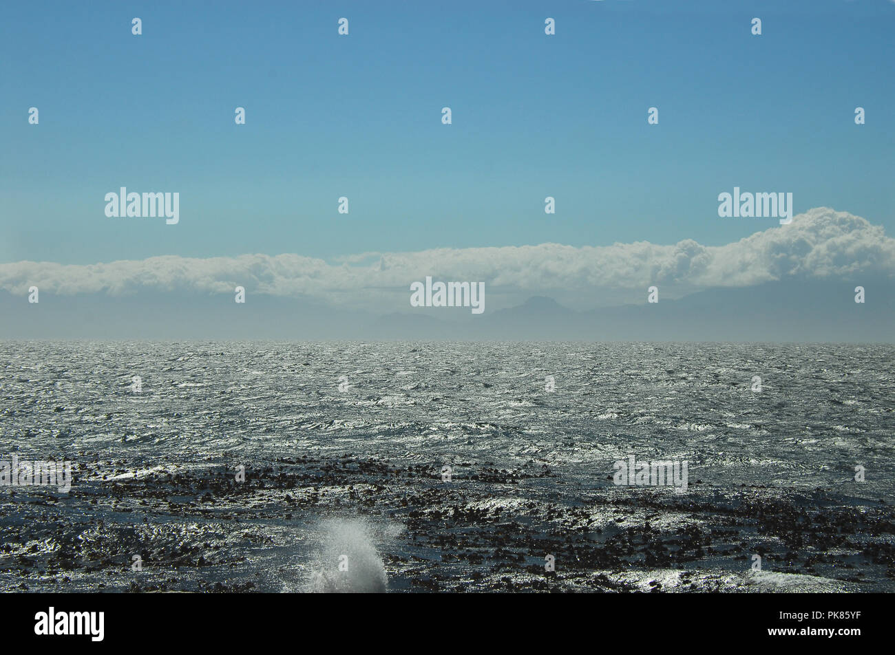 False background hi-res stock photography and images - Alamy