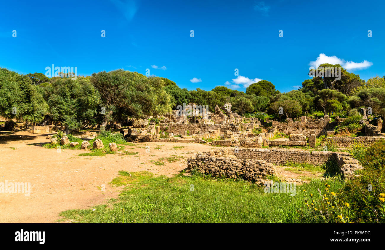 Ruins of Tipasa, a Roman colonia in Algeria, North Africa Stock Photo ...