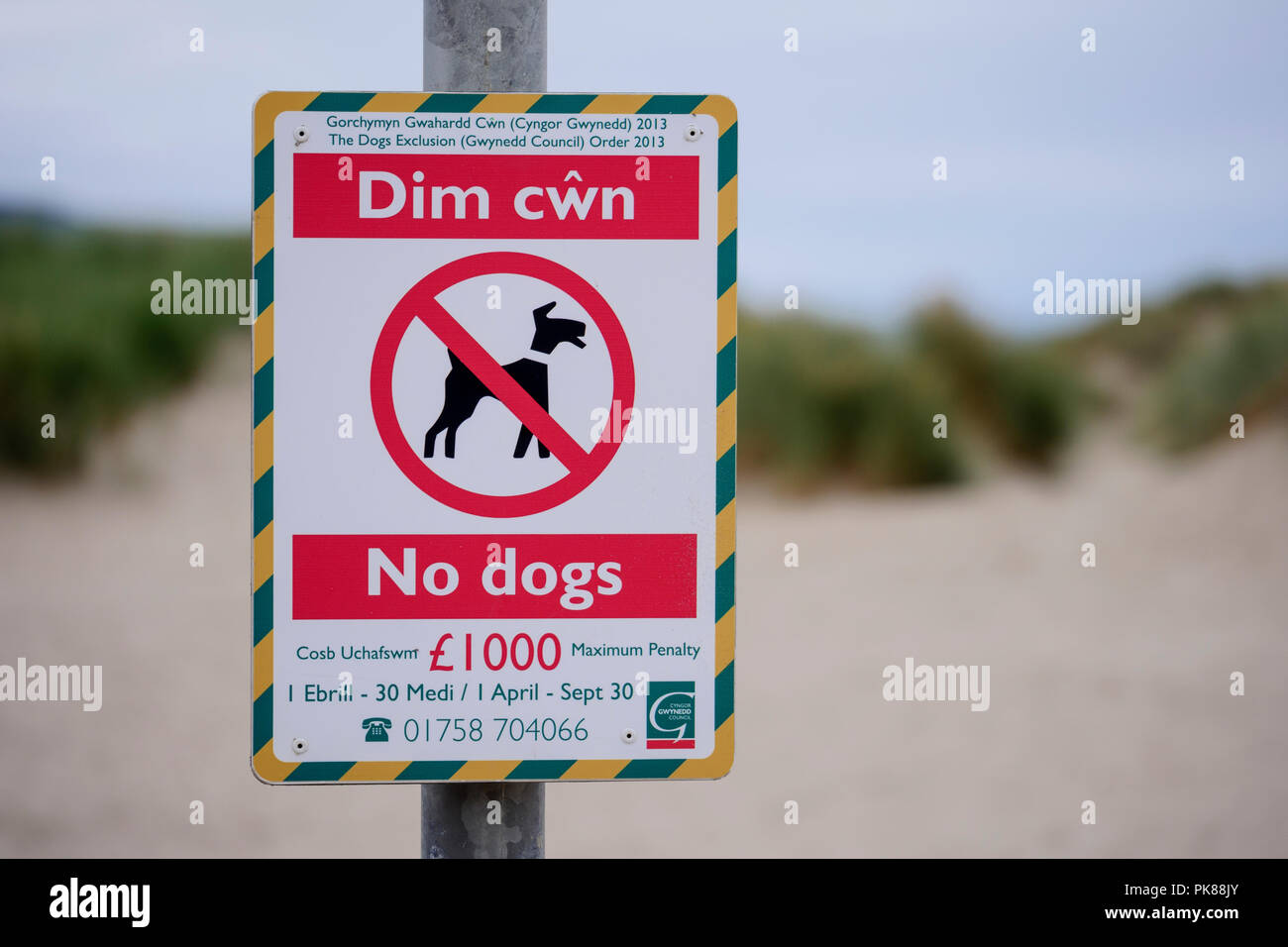dog ban sign at beach Stock Photo - Alamy