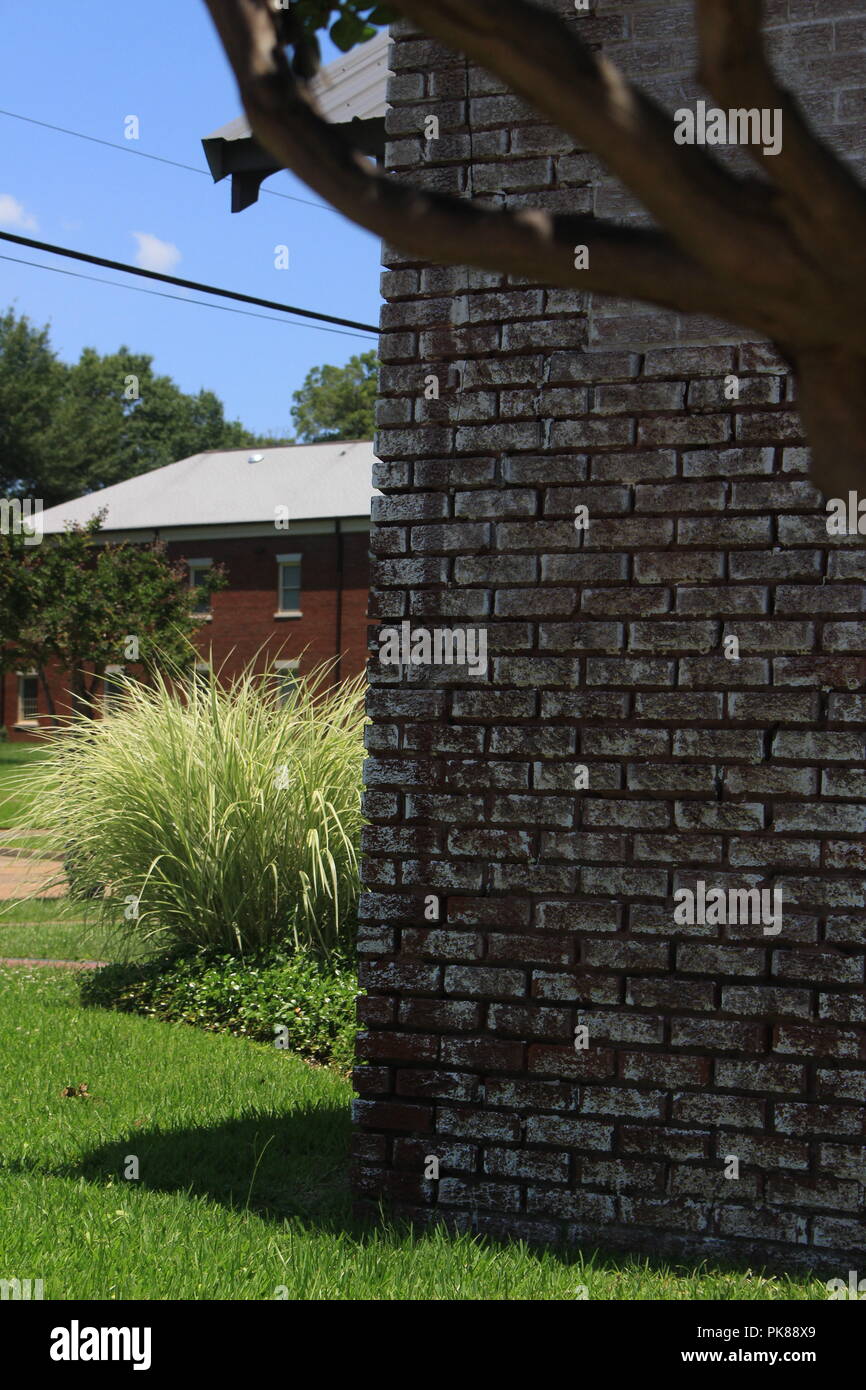 Building with a bush Stock Photo - Alamy