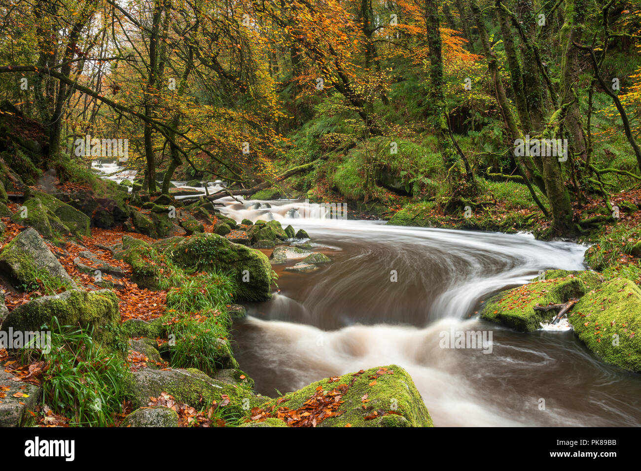 Cascading Water , Golitha Falls, Cornwall Stock Photo - Alamy