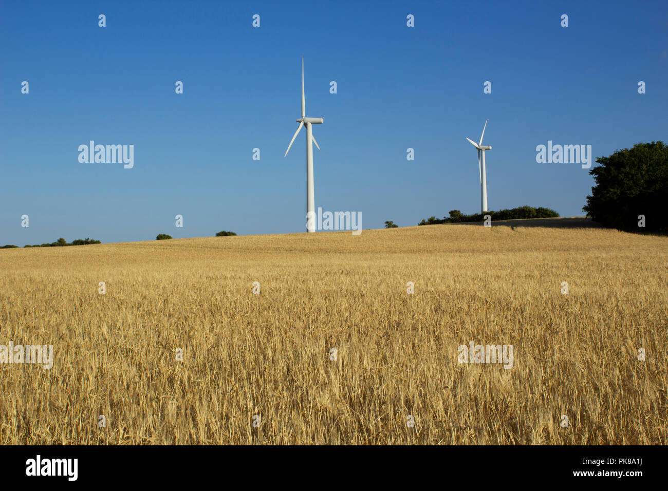 Wind turbines at a field for agriculture in the island of Jylland ...